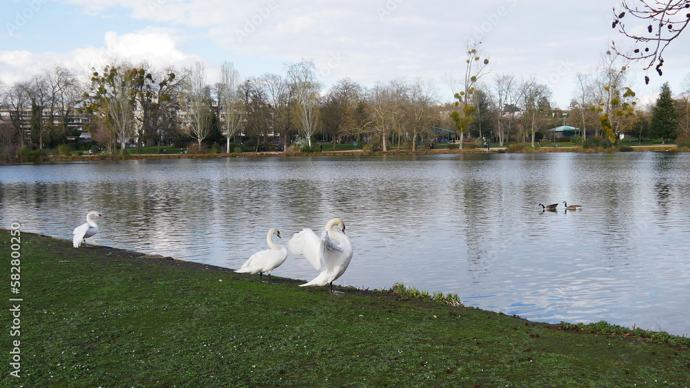 Zdjęcie Stock: Promande autour d'un lac limpide et transparent, dans un ...
