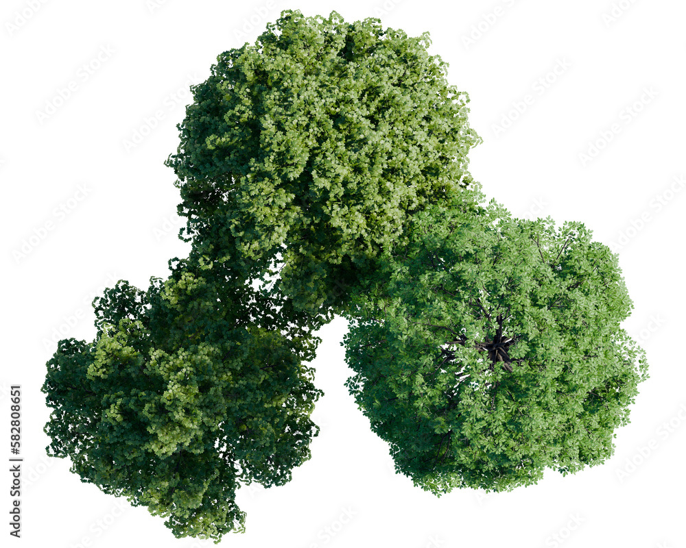 green tree top view on white png landscape plan urban Stock ...
