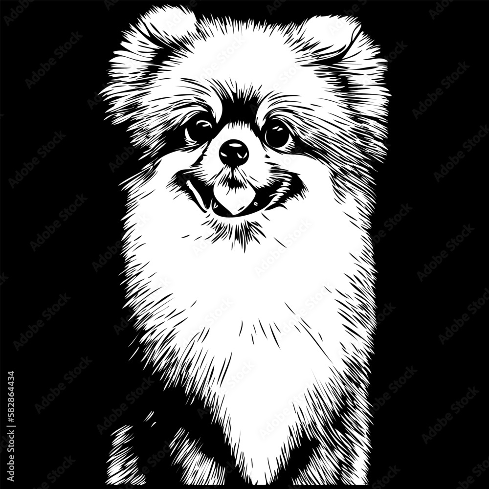 Pomeranian spitz dog logo hand drawn line art vector drawing black and ...