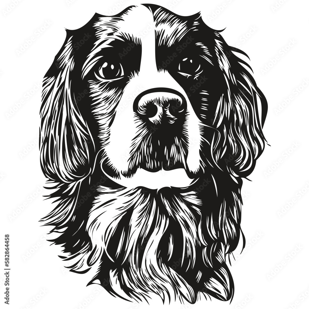Spaniel English Springer dog logo hand drawn line art vector drawing ...