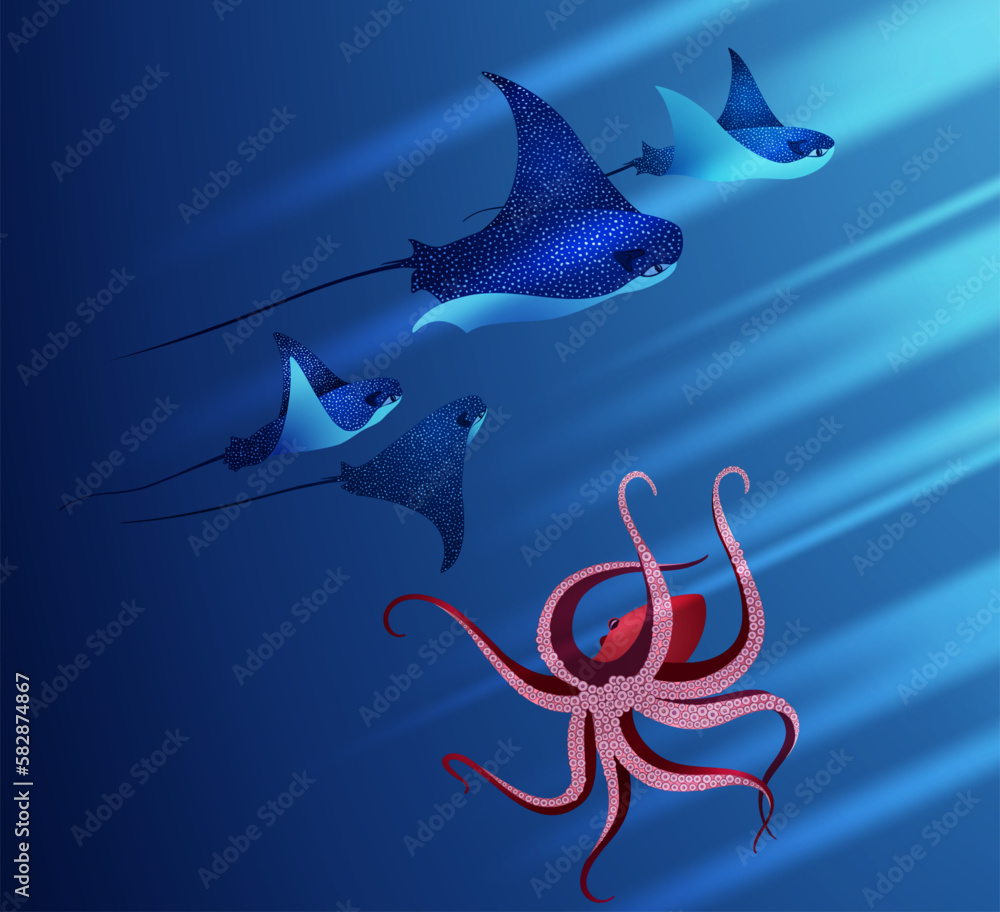 Octopus and manta ray fishes marine animals, sea creatures vector ...