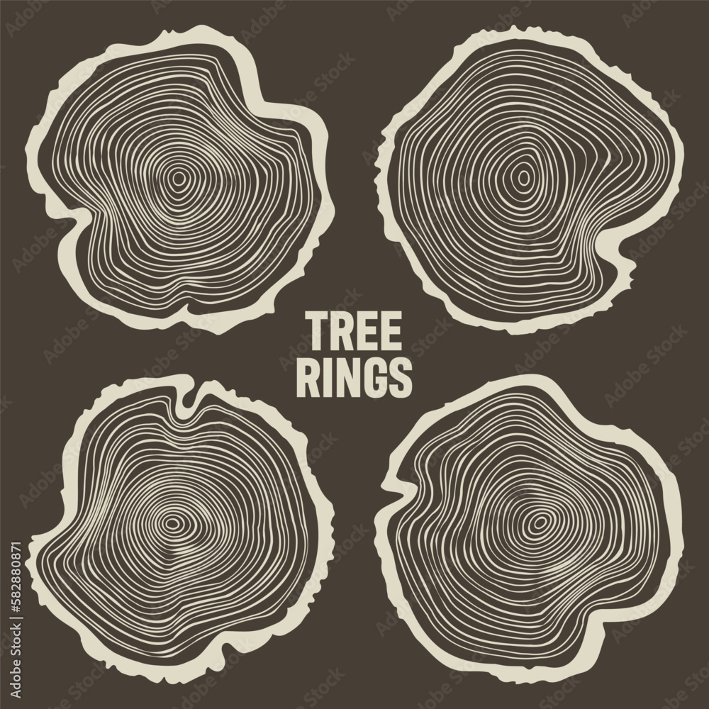 Round tree trunk cuts, sawn pine or oak slices, lumber. Saw cut timber ...