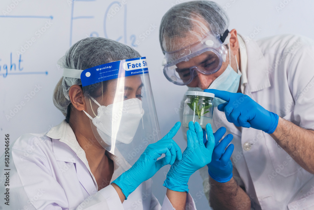 Scientist teams consult together with biochemistry plants tissue ...