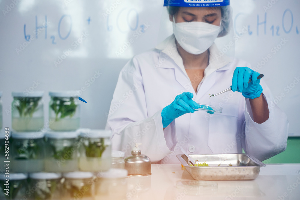 Biochemistry asian Scientist women working plants tissue culture ...