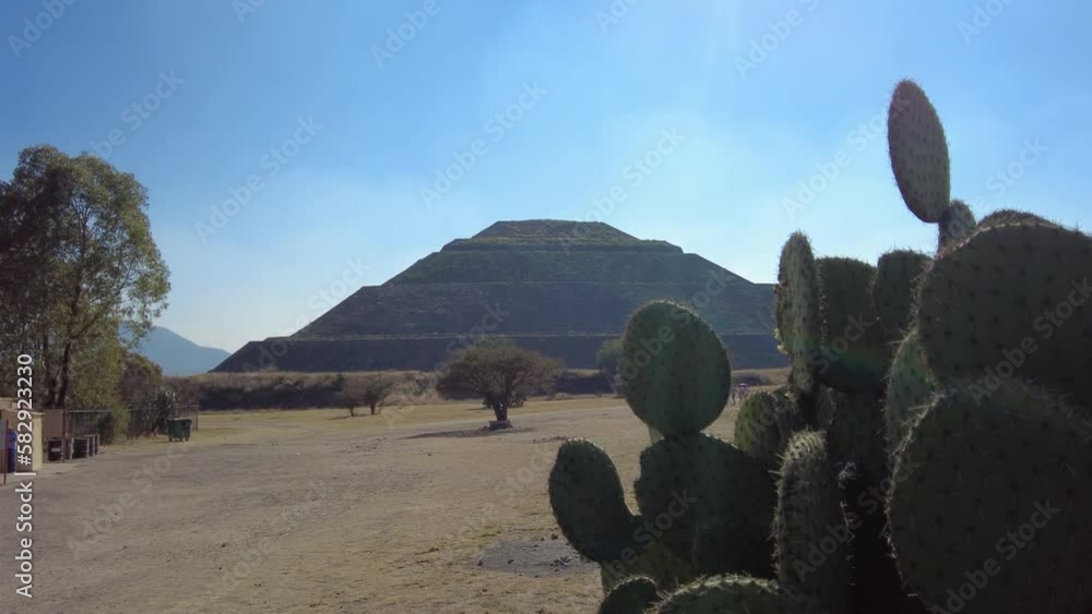 Vidéo Stock captivating view of a towering cactus in the foreground and ...