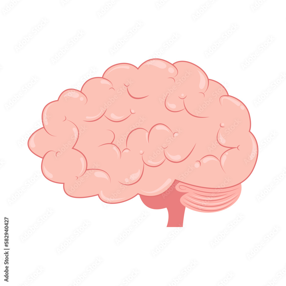 Cartoon Human Brain