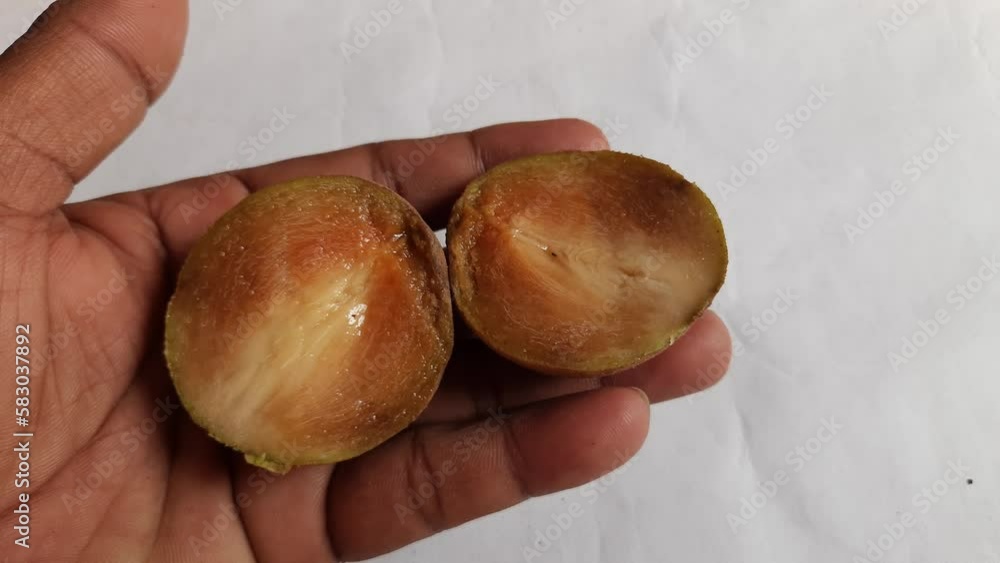 Manilkara zapota fruits. Its other names apodilla fruits, sapote ...