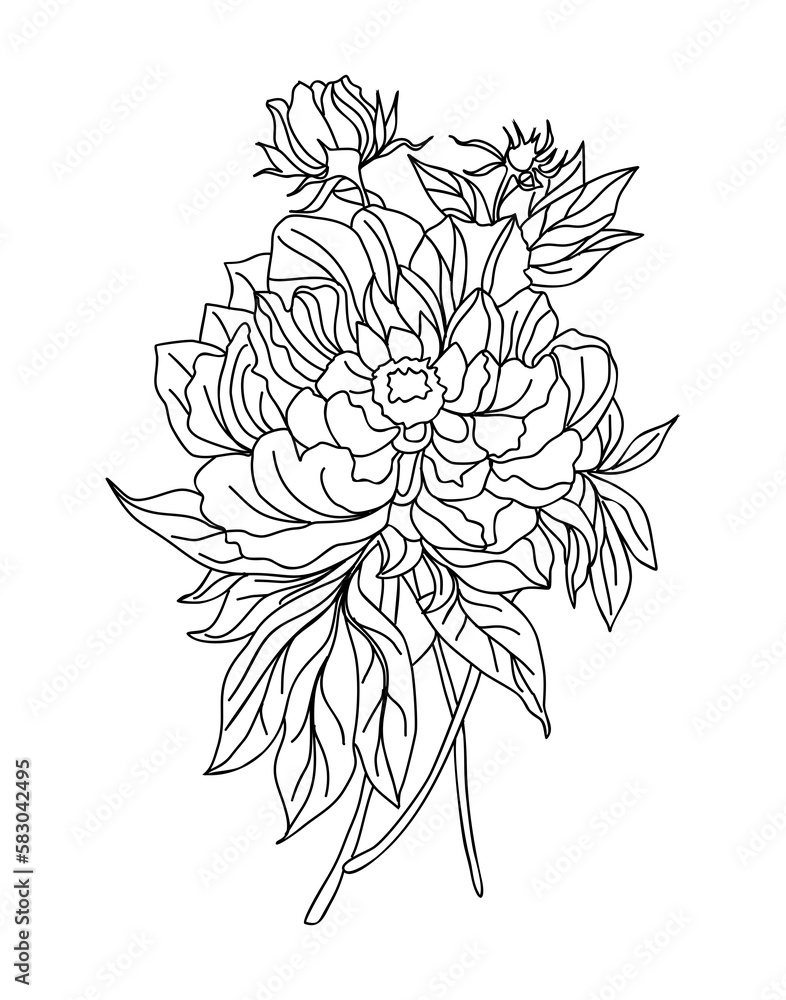 Peony November birth month flower line art illustration. Modern ...