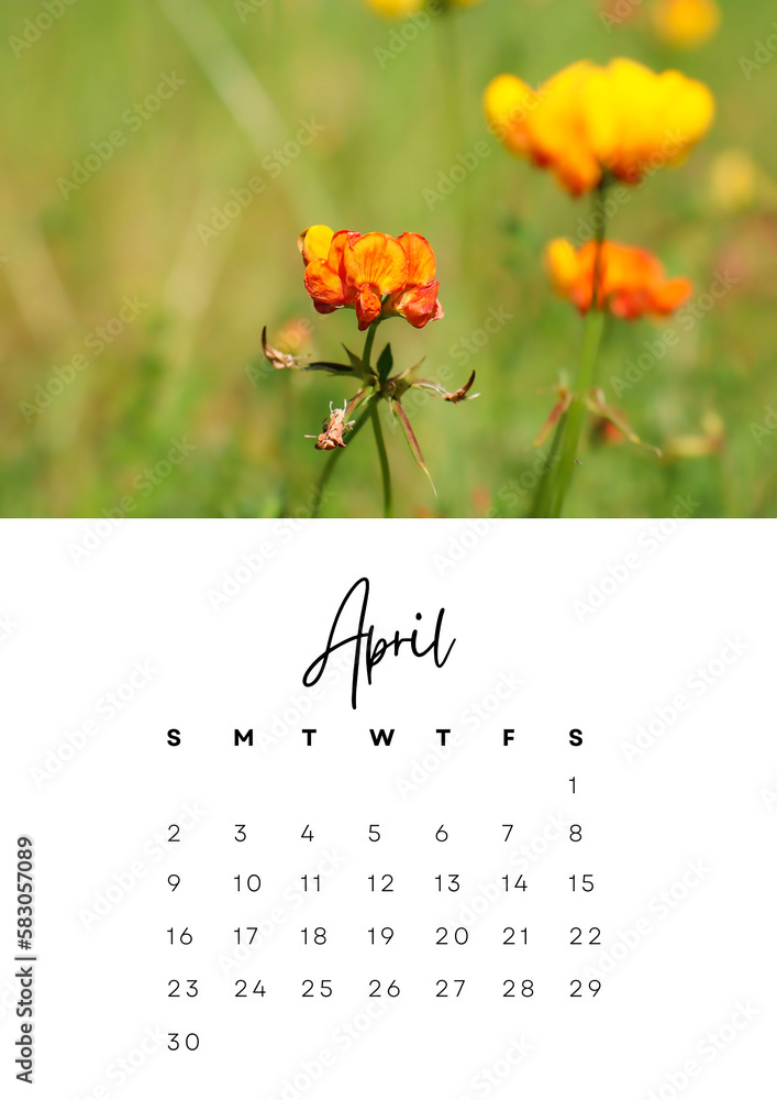 The month of april in the 2023 calendar with a flowers photo. Author's ...