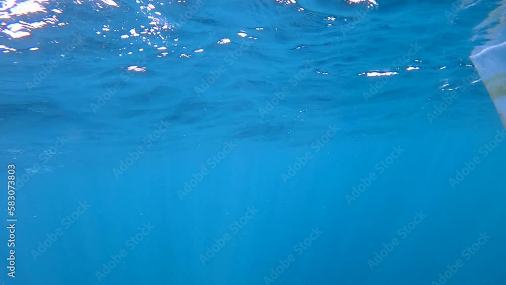 Yellowtail fish pulls fishing pole deep into water as it fights angler ...