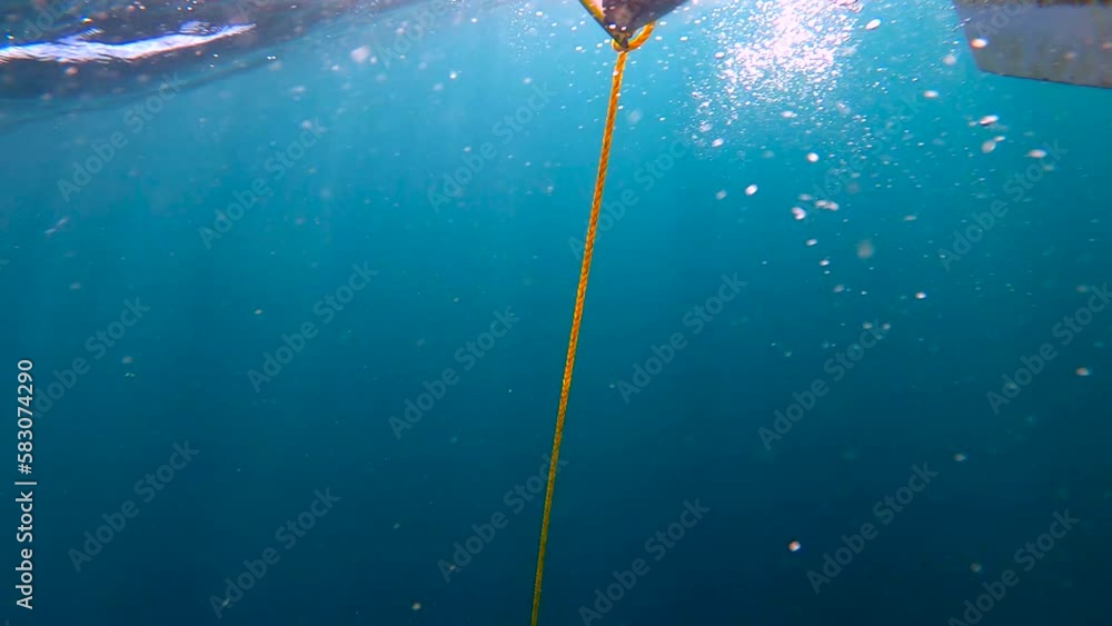 Yellowtail fish tied against rope is gaffed and brought aboard Stock ...