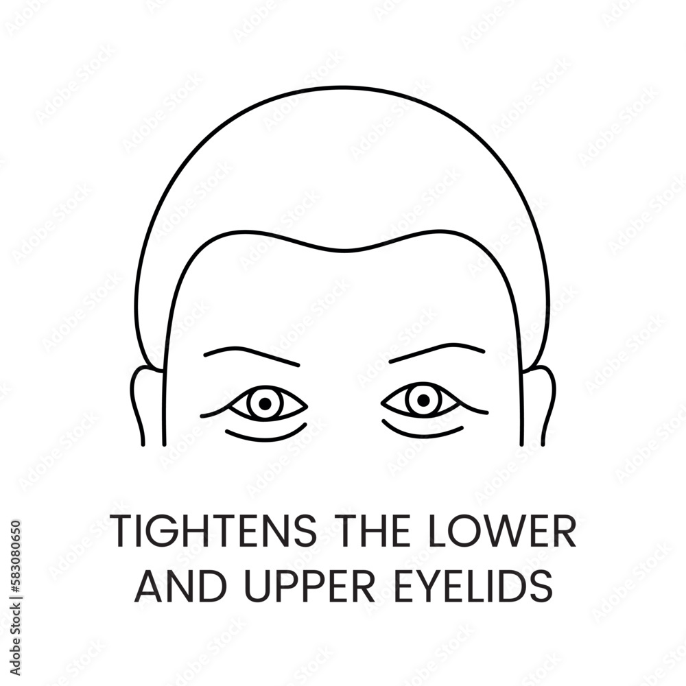 Tightens the lower and upper eyelid line icon in vector, illustration ...