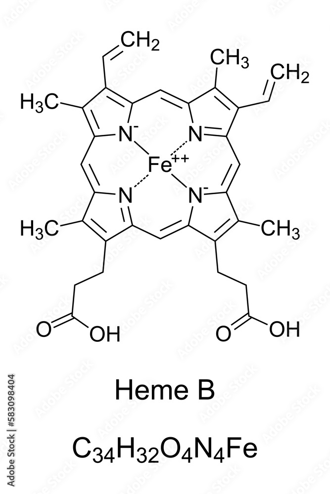 Heme B, haem B, or protoheme IX, chemical formula and structure ...