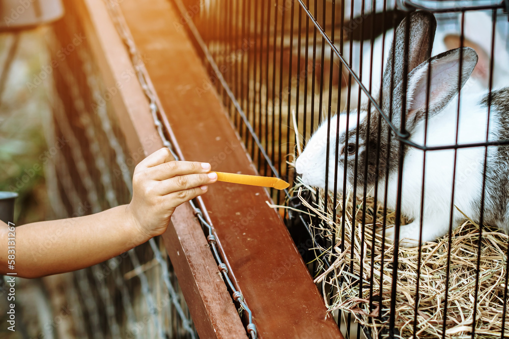 Adorable little girl feeding rabbit at farm. Kid feeding and petting ...
