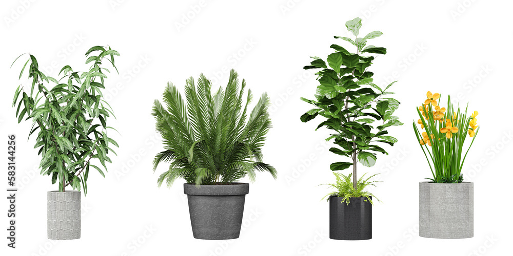 Gorgeous Transparent background Plant Images Plant Cut-Outs Isolated ...
