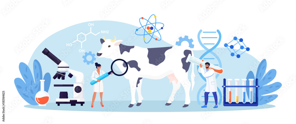 Biology scientists doing research cow dna. Genetically modified animals ...