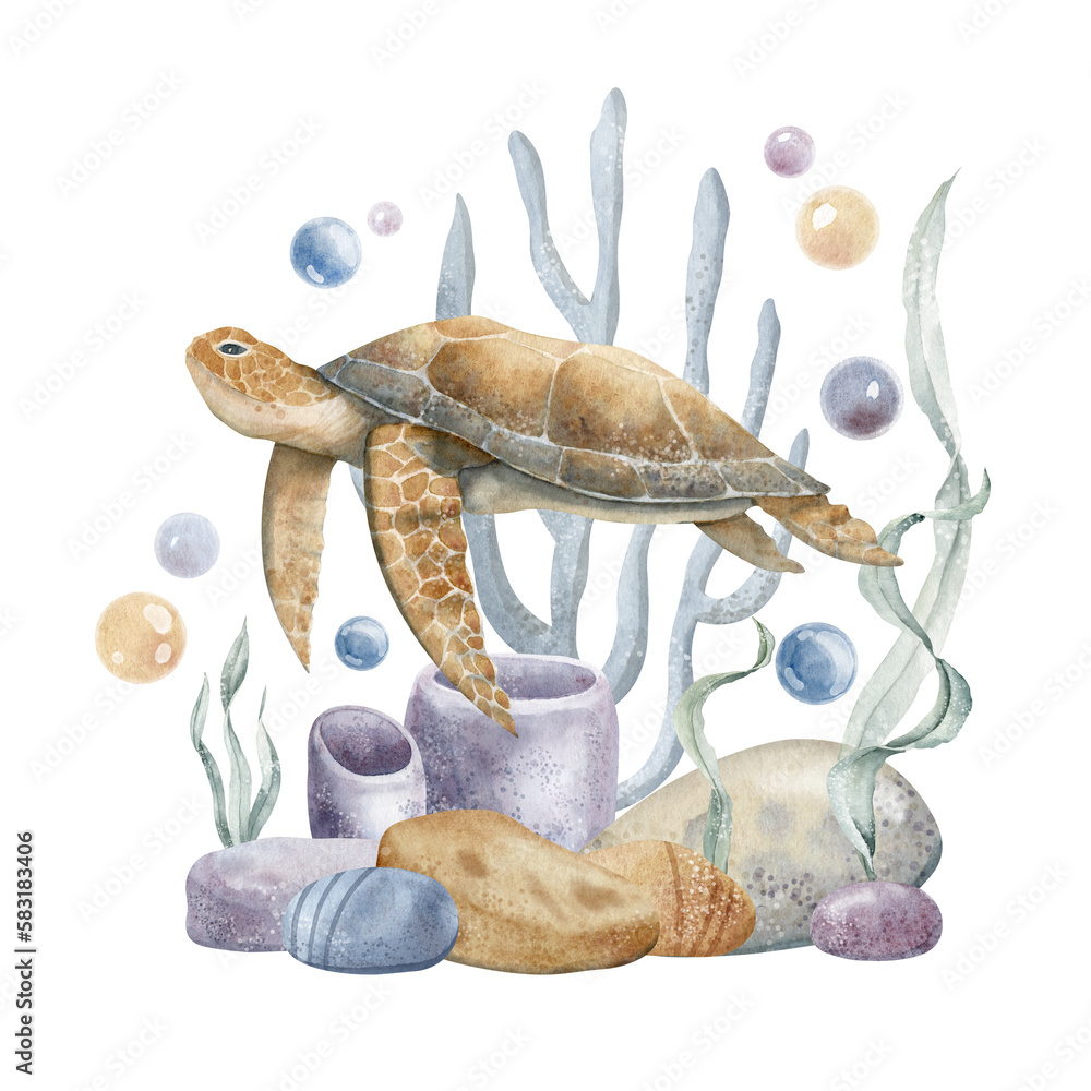 Watercolor illustration of Sea Turtle, Corals and Algae. Underwater ...