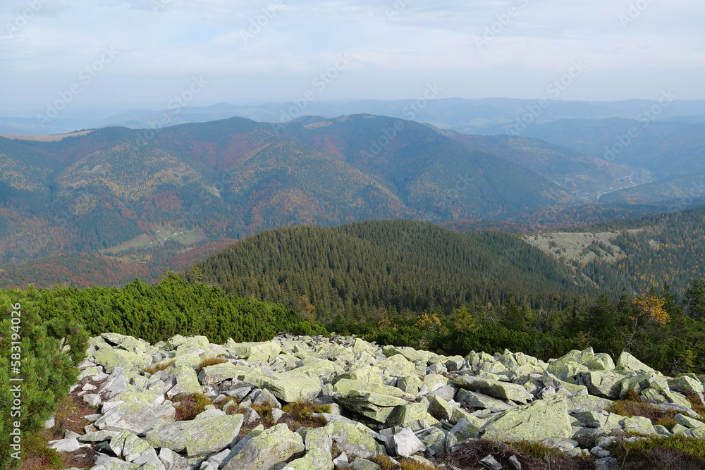 Stones covered with lichen in Gorgany - mountain range in Western ...