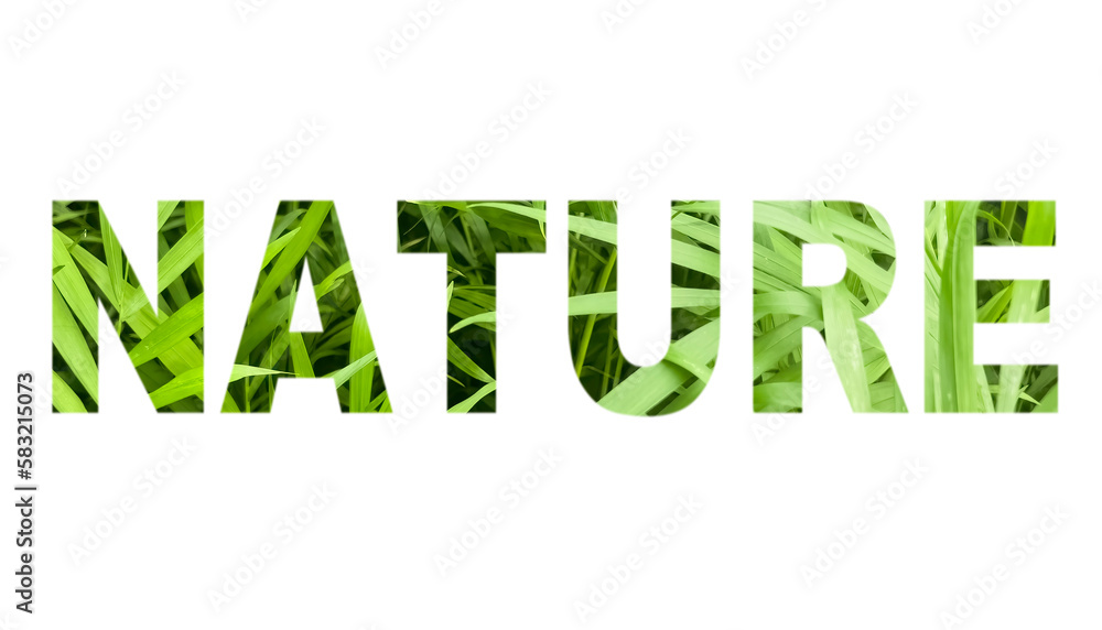 Word nature view green leaf on greenery background. Green letter word ...