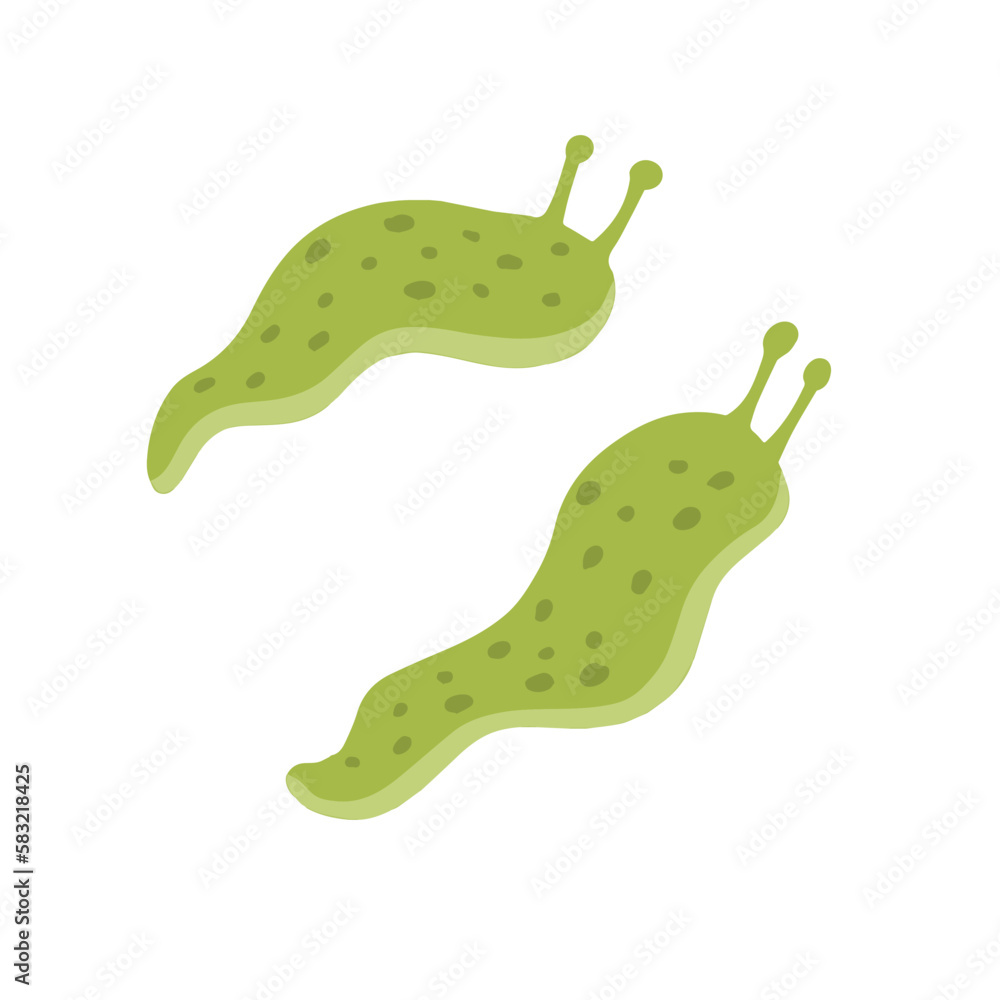 Green slug. Set of slippery insects. Flat cartoon illustration isolated ...