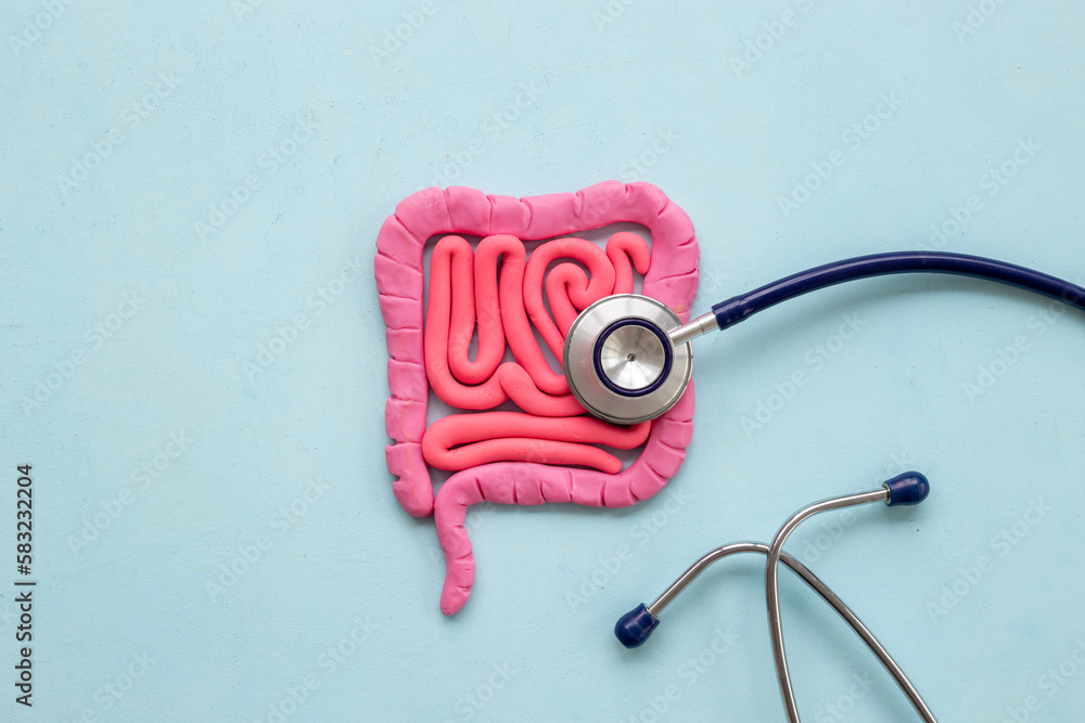 Intestines colon organ stomach shape of plasticine. Digestive tract ...