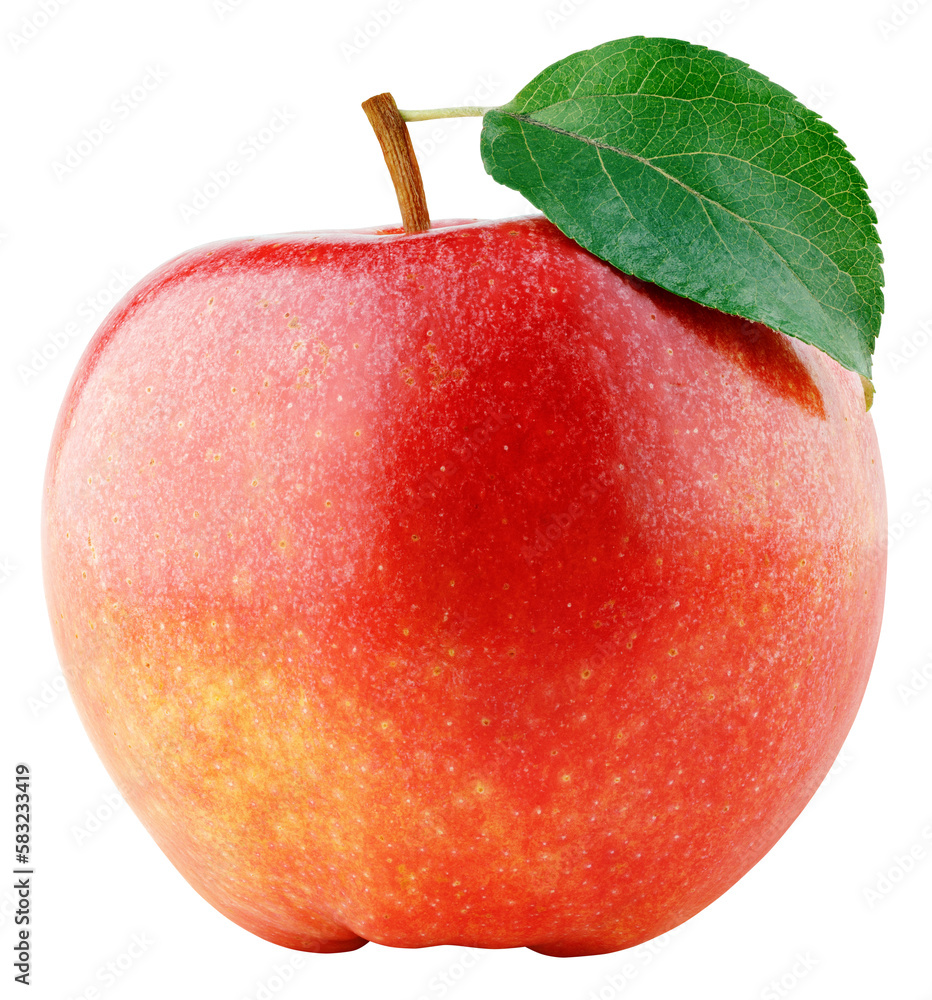 Transparent When Apples Are Ripe