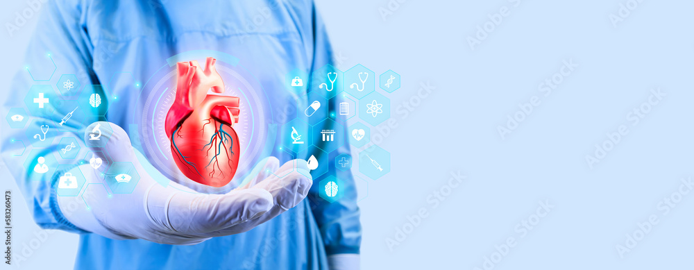 heart attack, human heart isolated on light background. cardiology and ...