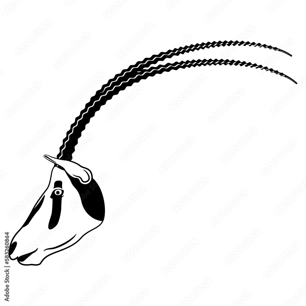 Profile head of Oryx antelope with big long horns. Scimitar oryx. Oryx ...