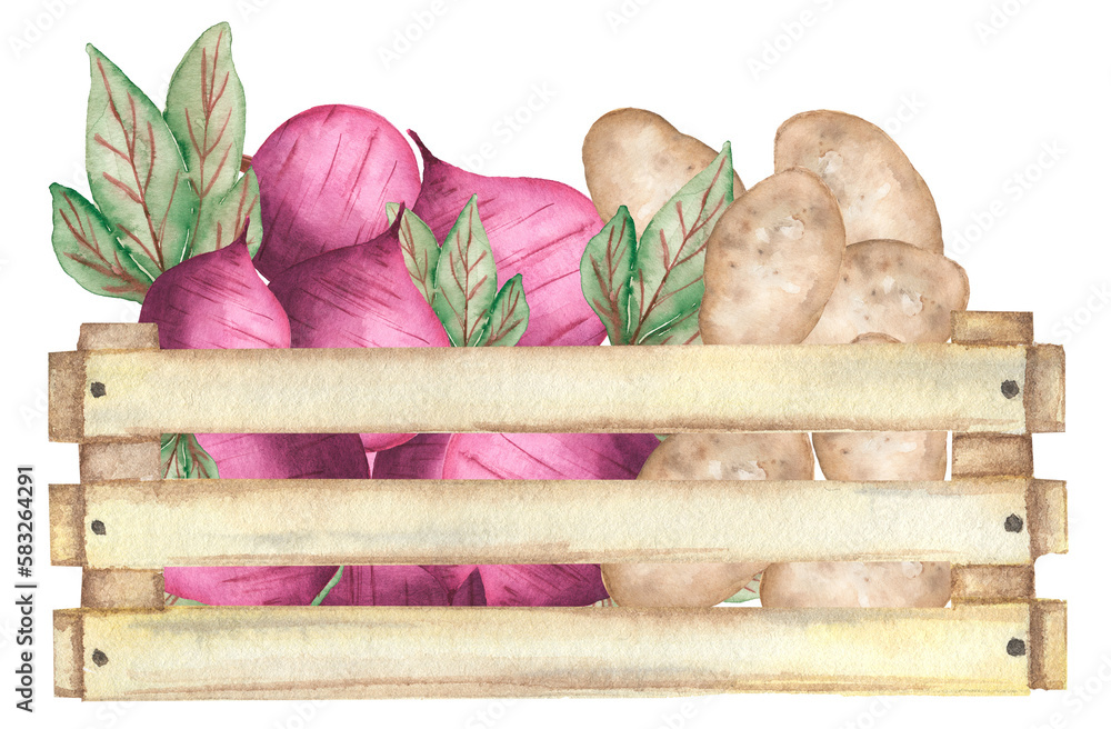 Watercolor vegetables in the wooden box illustration, fresh garden ...