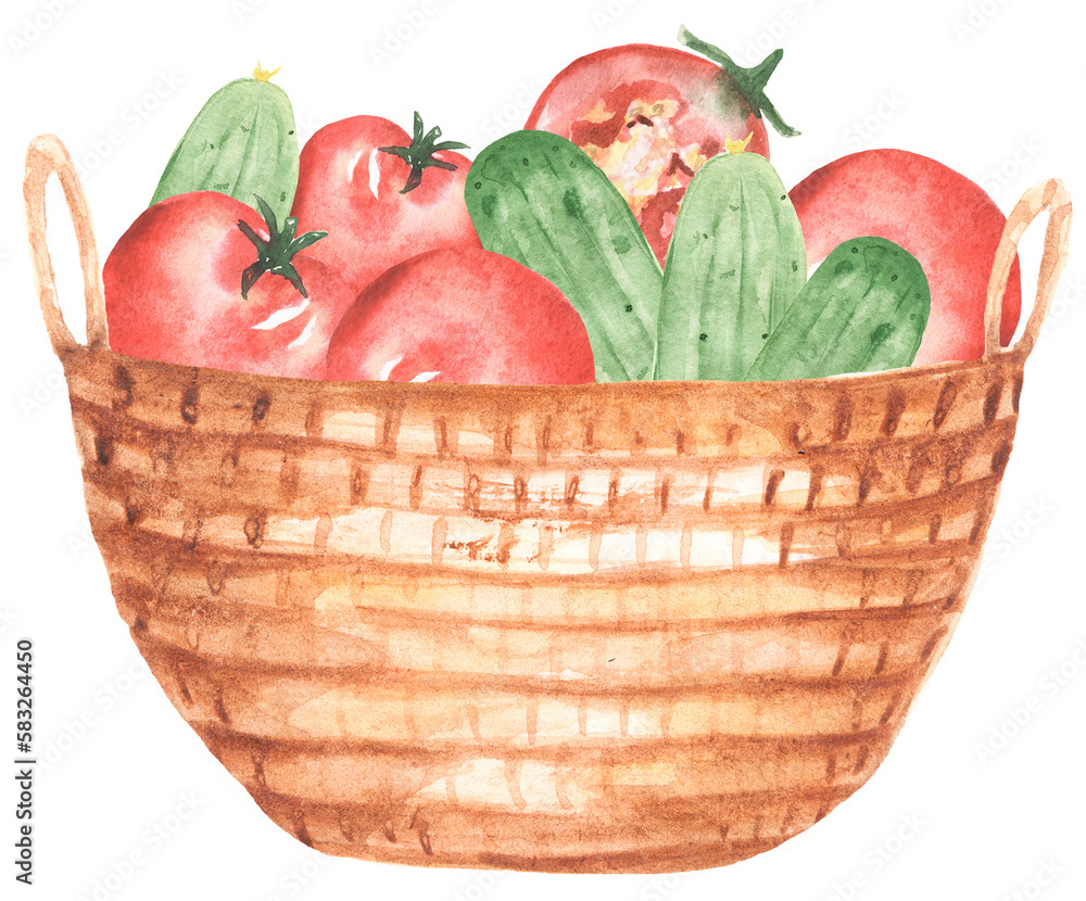 Watercolor vegetables in the wooden box illustration, fresh garden ...
