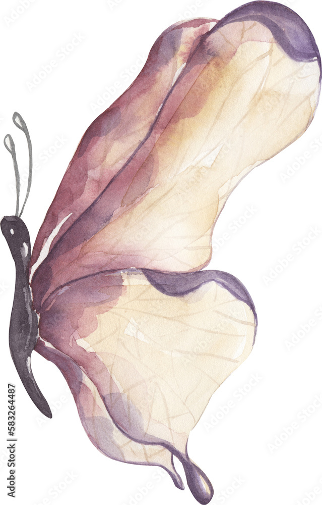 Watercolor violet and yellow butterfly illustration, butterfly clipart ...