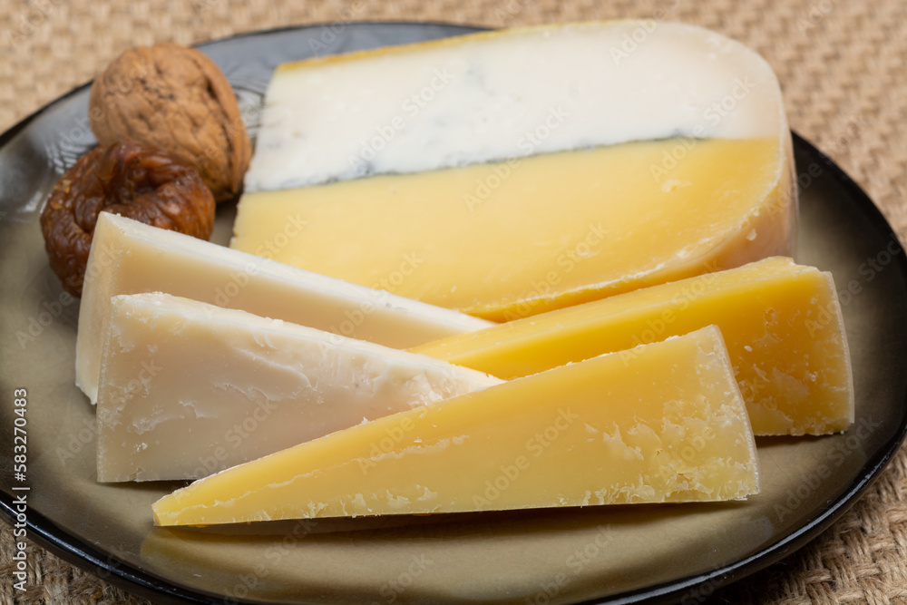 Colorful Double Dutch cheese, hard cheese made from cow milk and goat ...