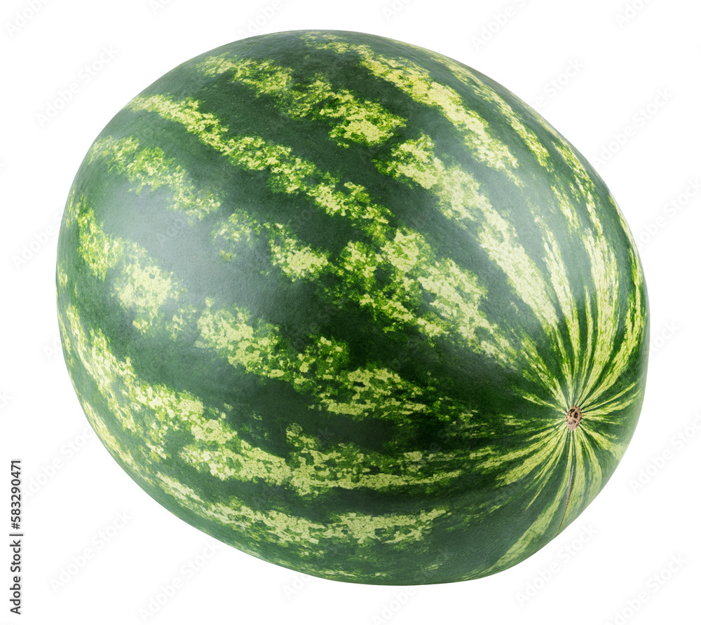 Single full watermelon isolated on transparent background. Full Depth ...