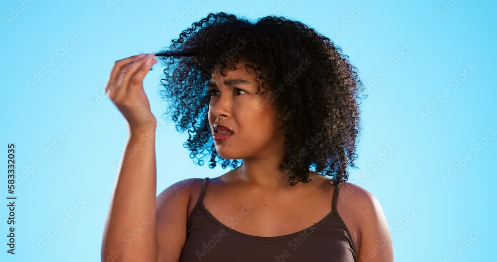 Afro, hair damage and confused black woman on blue background with ...