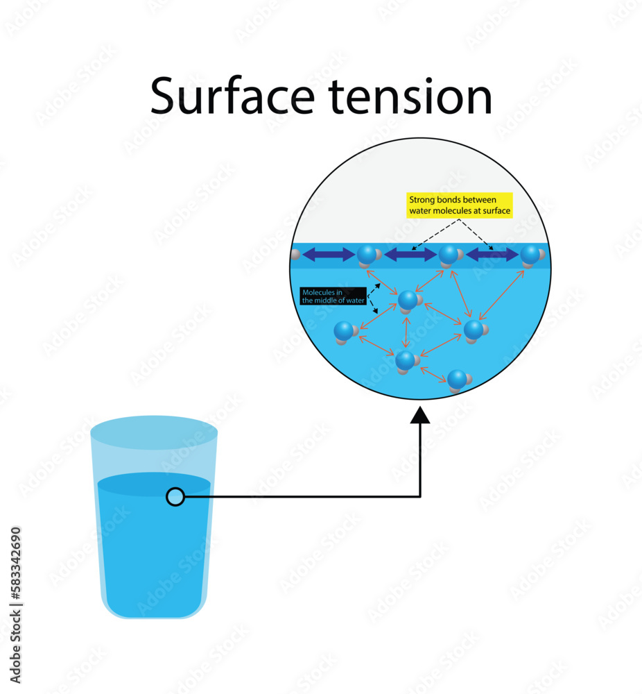 Properties Of Water Powerpoint Adhesion Cohesion Surface Tension – Bilarasa Properties Of Water Powerpoint Adhesion Cohesion Surface Tension – Bilarasa