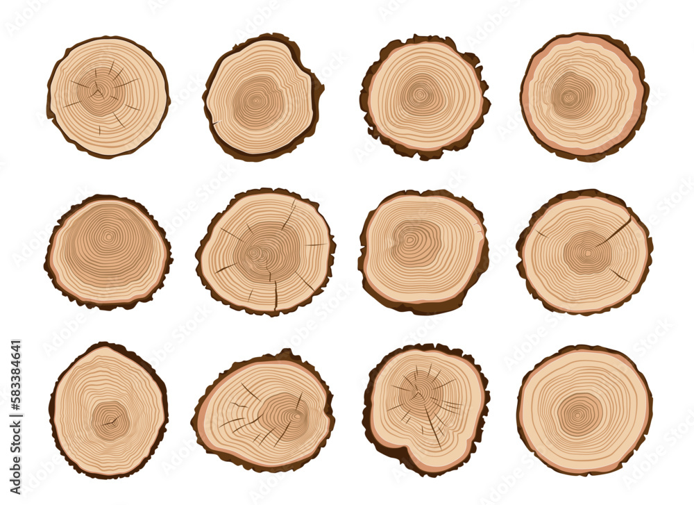 Vetor de Tree trunks, wood cut. Forest tree stump log cross-section ...