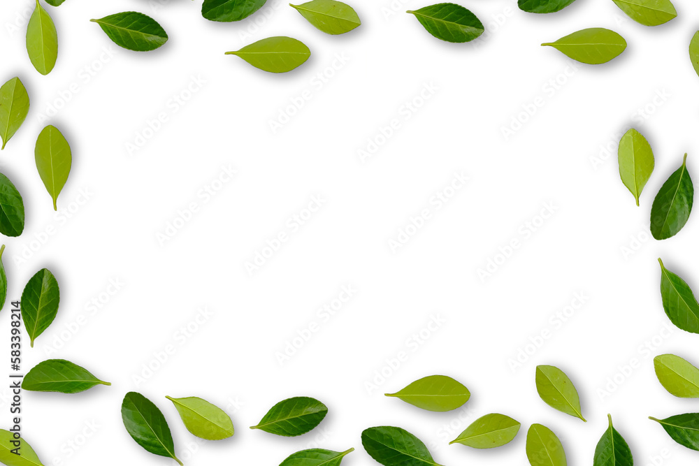 Realistic spring green leaves border frame on transparent background ...