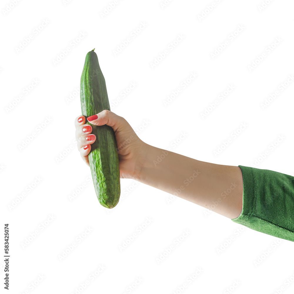 Isolated of woman hand holding whole raw green cucumber on transparent ...