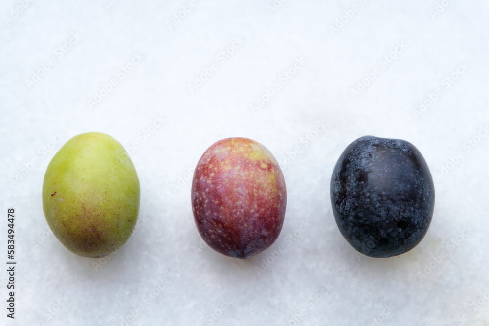 Ripening stages of an olive, life cycle of an juicy olive getting ripen ...