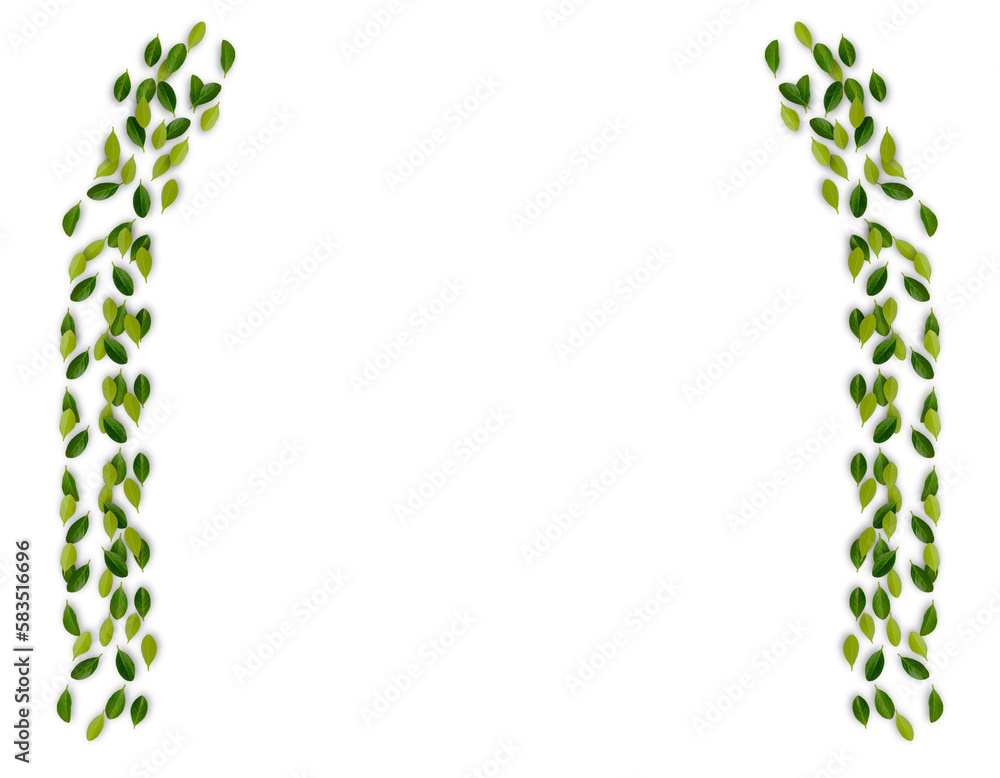 frame of leaves. Green leaves border frame with copy space text. PNG ...