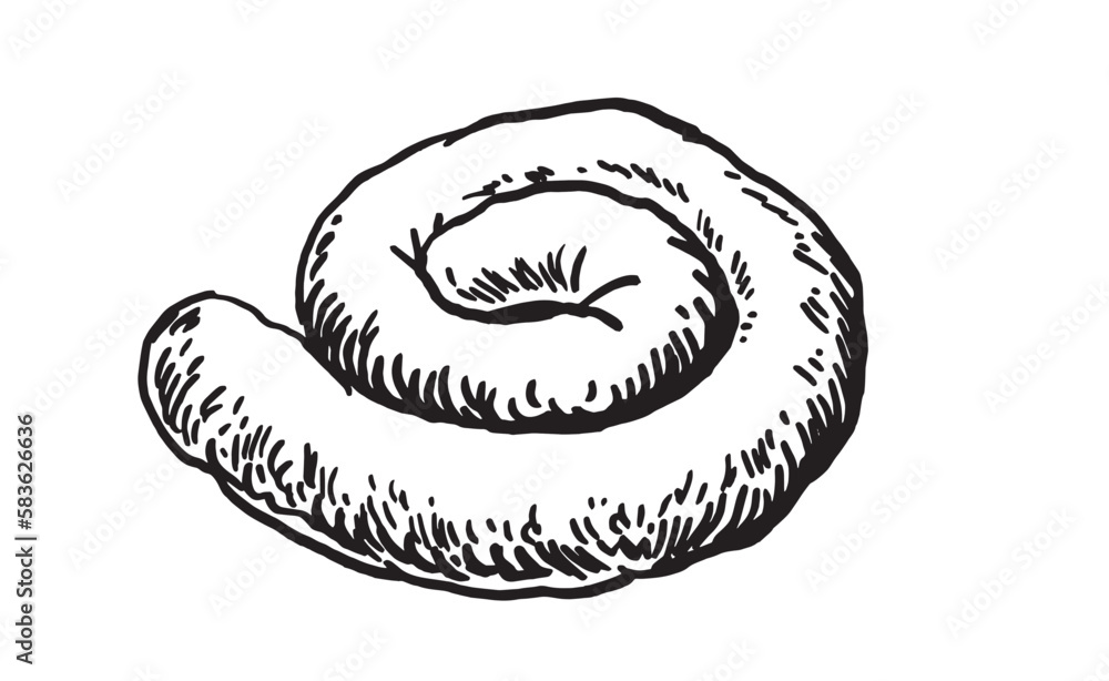 Vector sausage isolated on white background, butchery product. Meat ...