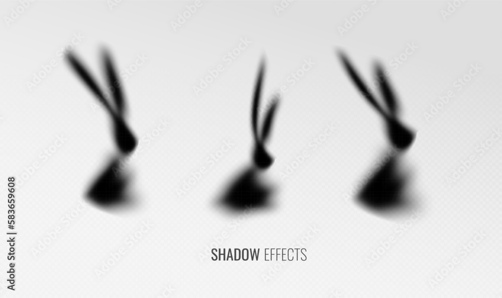Silhouette rabbit on a transparent background. Easter bunny shadow ...
