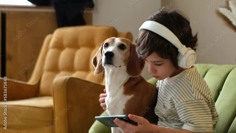heartwarming video of a boy and his beagle dog sharing a loving moment ...