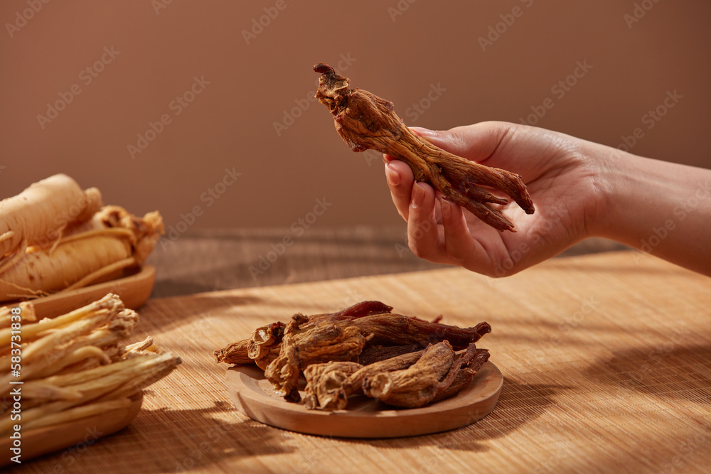 Front view of female hand picking up a red ginseng root. This is ...