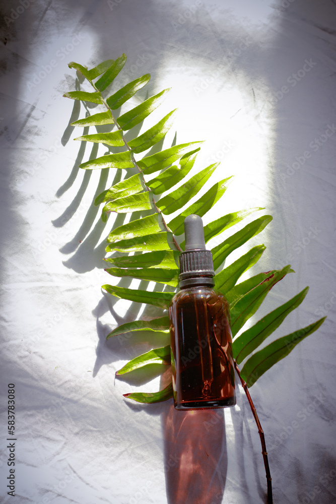 Vertical conceptual still-life of a glass dropper bottle on a fern leaf ...