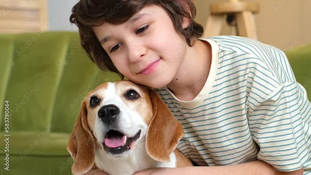 young boy hugs his newly adopted beagle, both finding comfort and ...