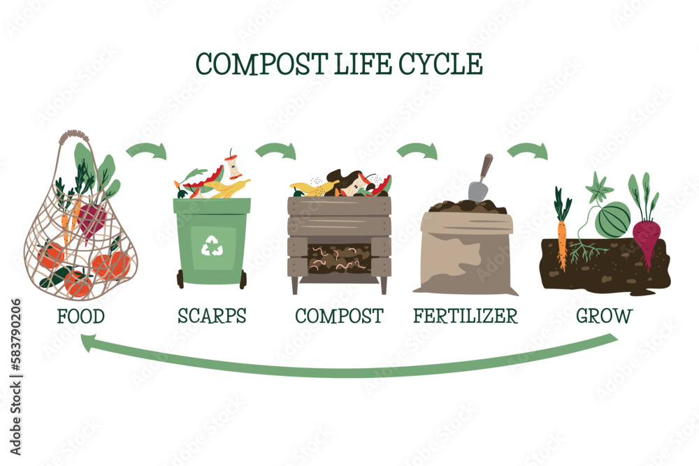 Compost life circle infographic. Composting process. Recycling organic ...