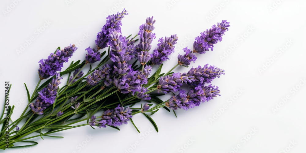 Lavender Dreams: A Top View of Calmness and Self-Care. AI Generated Art ...