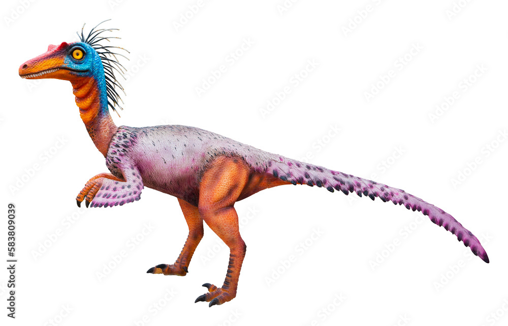 Stenonychosaurus is a carnivore genus of troodontid dinosaur from the ...