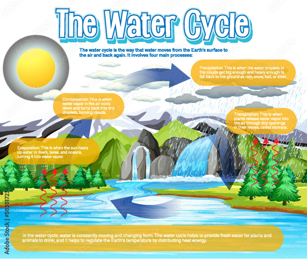 The water cycle diagram for science education Stock Vector | Adobe Stock